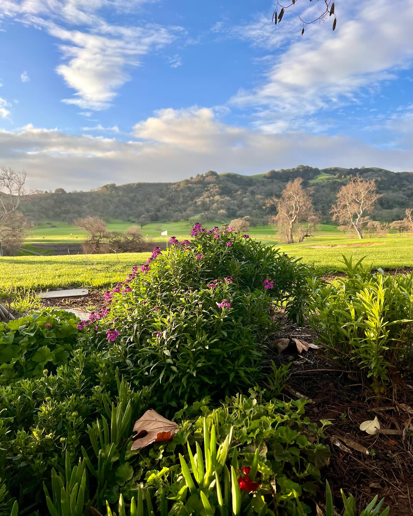 Photo Gallery - Gavilan Golf Course